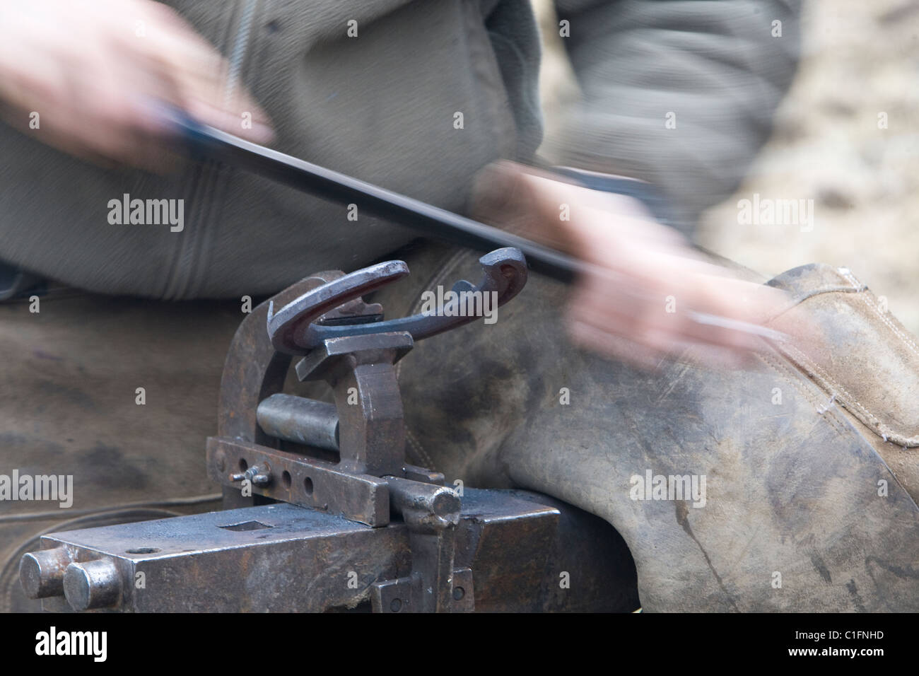 Farrier filing new horseshoe prior to fitting Stock Photo - Alamy