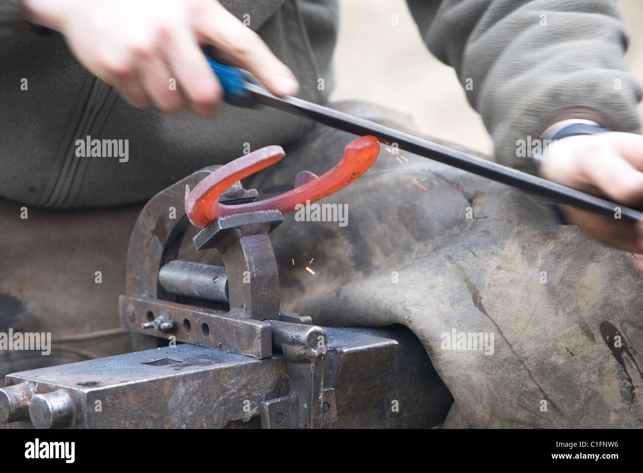 Farrier filing new horseshoe prior to fitting Stock Photo - Alamy