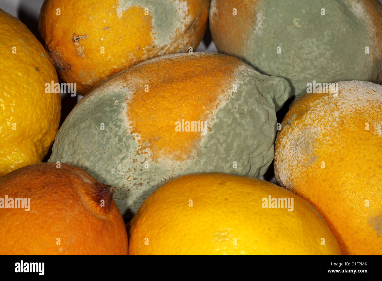 Fruit damage hi-res stock photography and images - Alamy