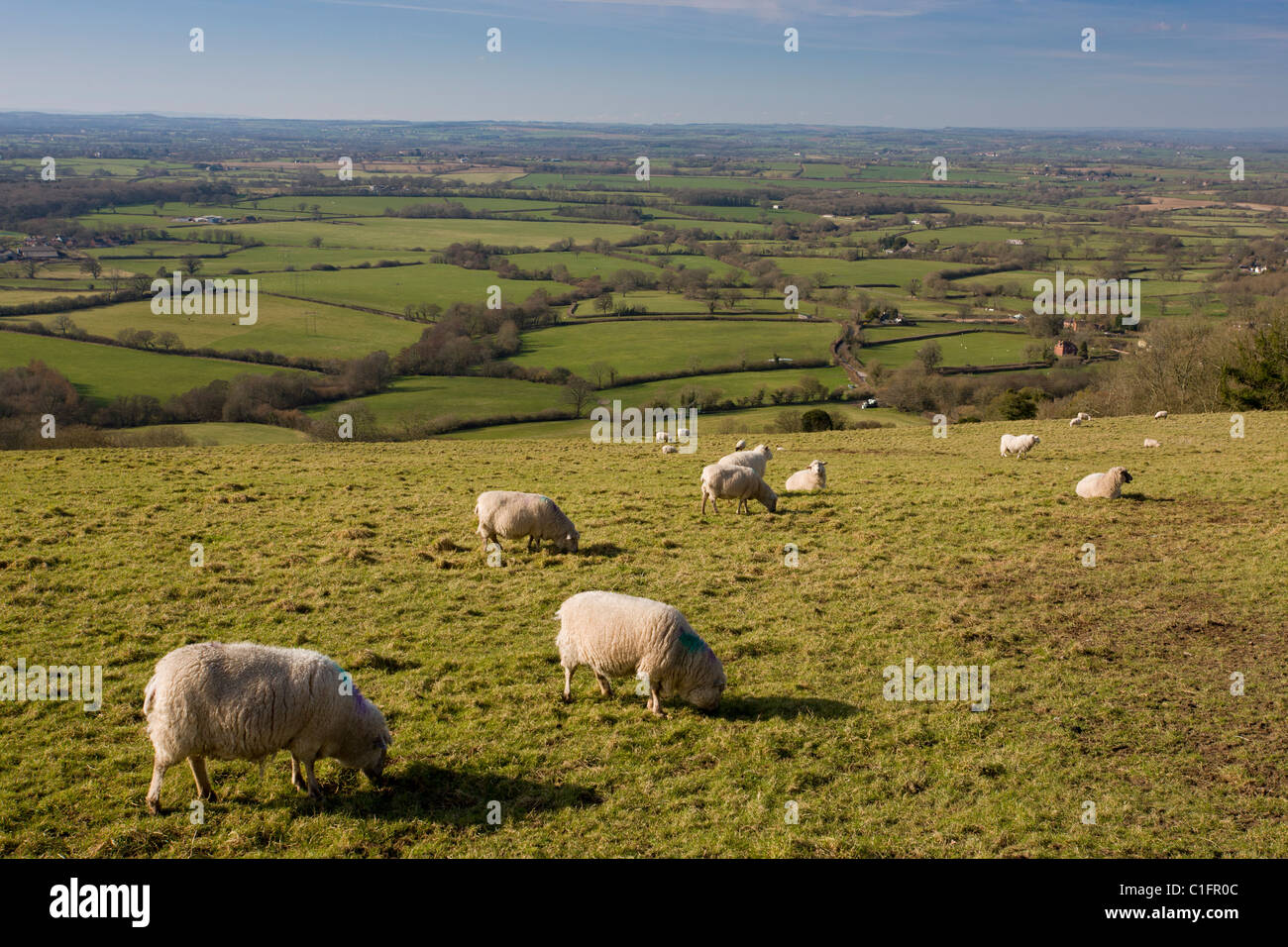 Blackmore vale ibberton hill hi-res stock photography and images - Alamy