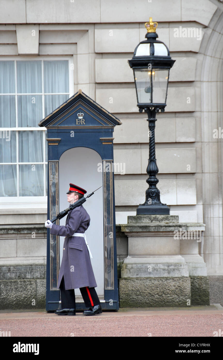 Sentry duty buckingham palace hi-res stock photography and images - Alamy