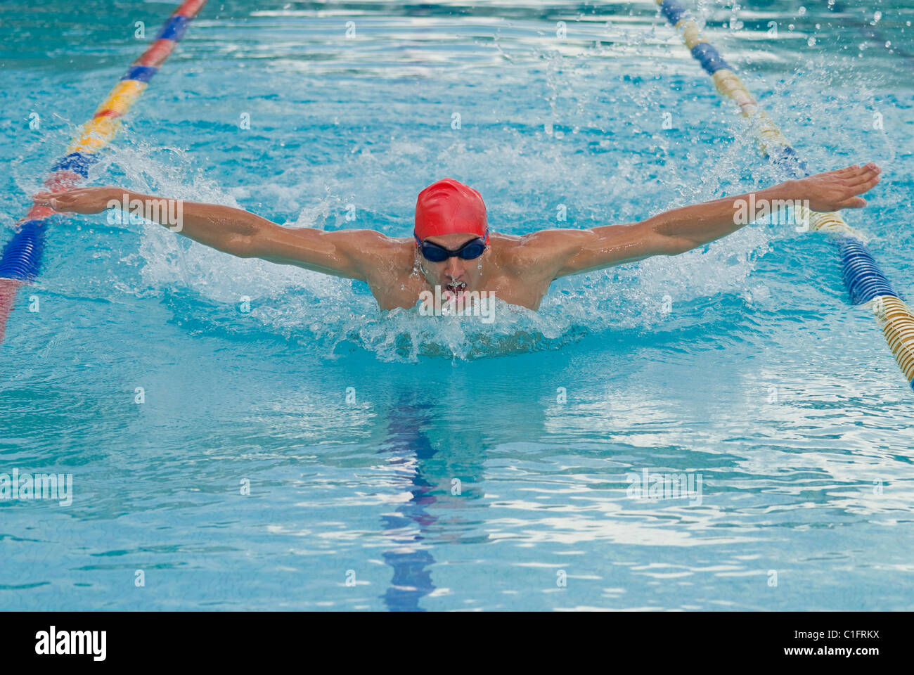 Hispanic man swimming in swimming pool Stock Photo - Alamy