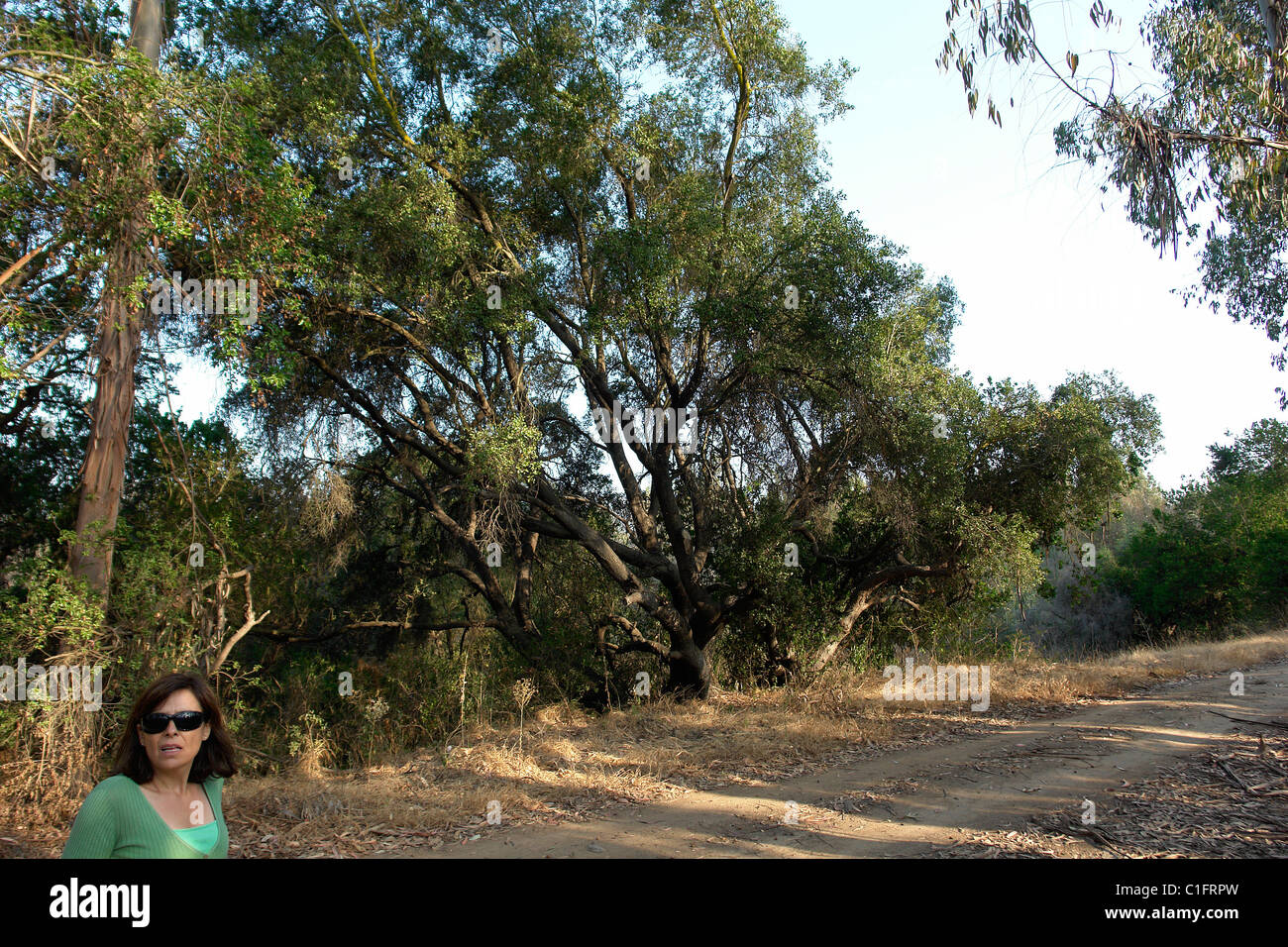 Landscape of women Stock Photo - Alamy