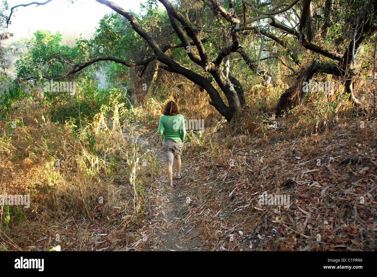 Women landscape hi-res stock photography and images - Alamy