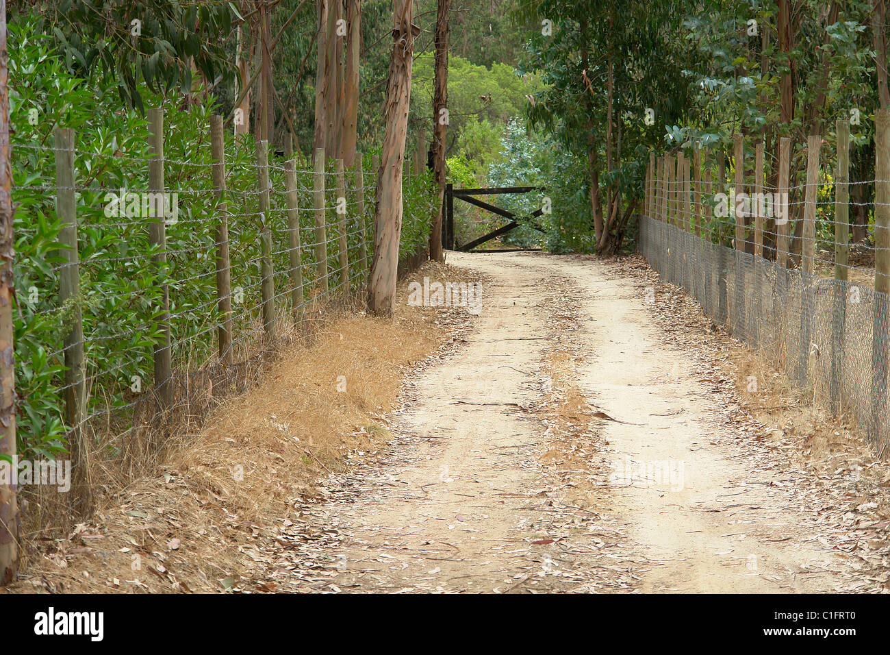 Rural field trail Stock Photo - Alamy