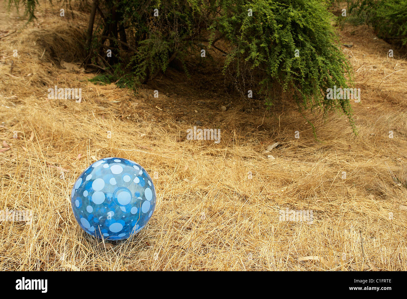 Blue ball hi-res stock photography and images - Alamy