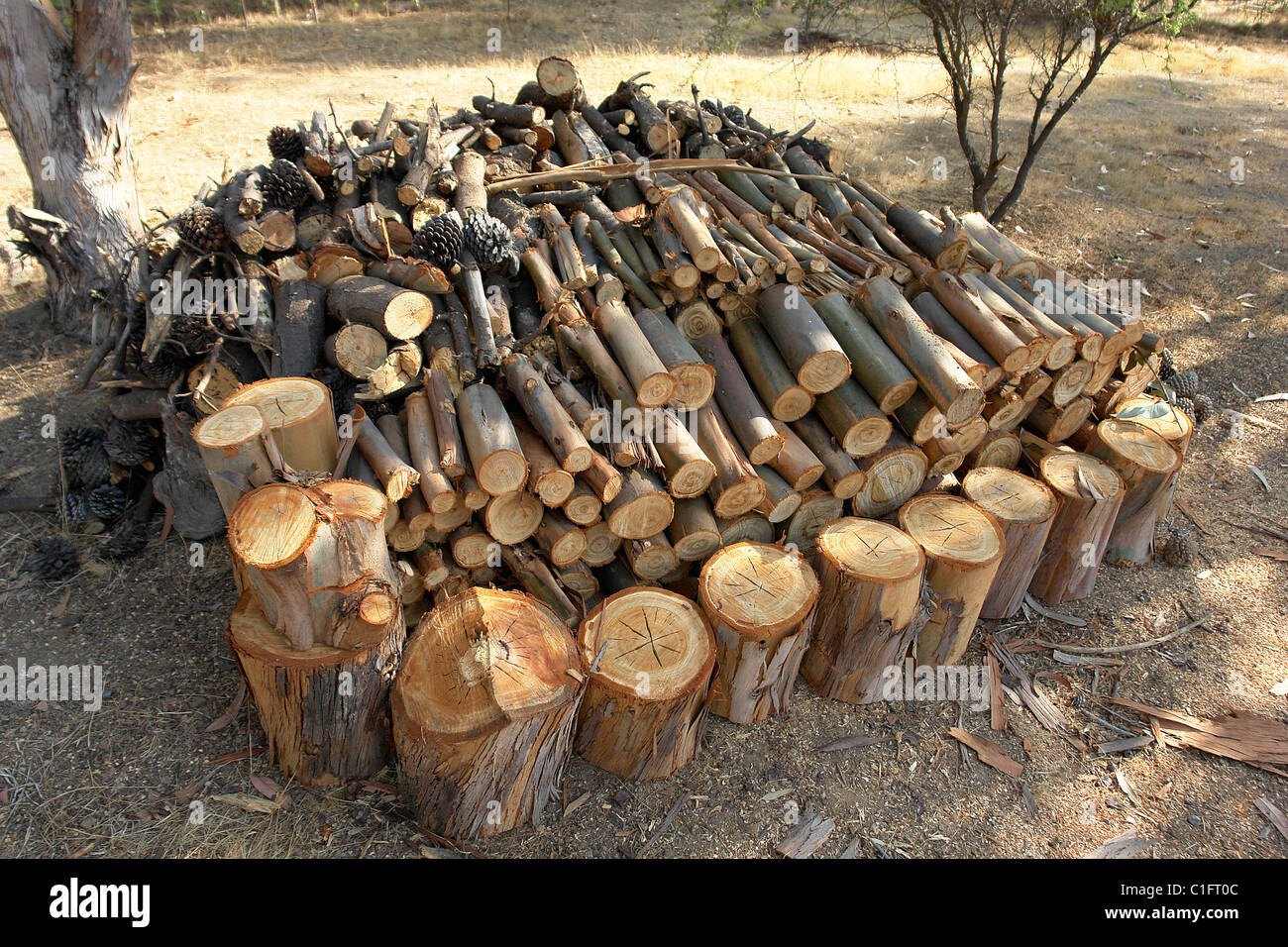 Wood cut hi-res stock photography and images - Alamy
