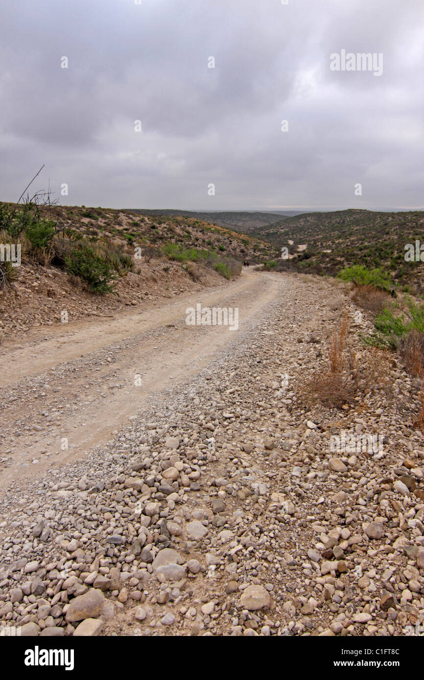 Primitive road on a West Texas ranch Stock Photo - Alamy