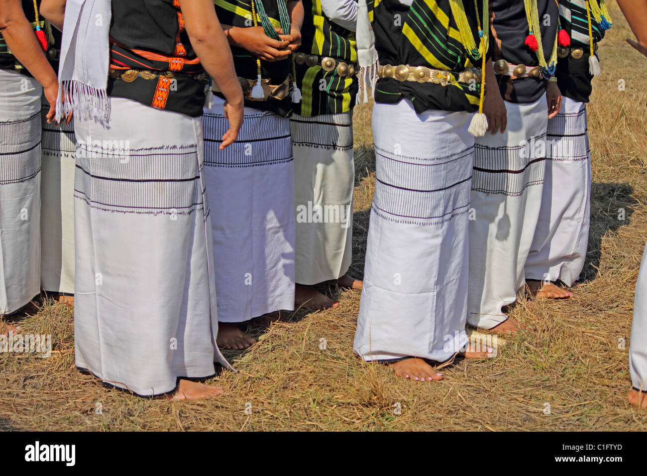 Traditional Dance of Adi tribes during Namdapha Eco Cultural Festival, Miao, Arunachal Pradesh ...