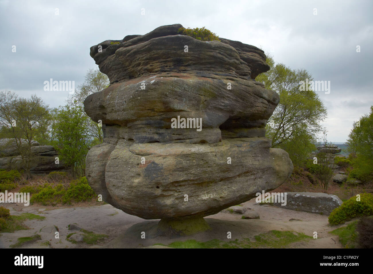 Rock idol hi-res stock photography and images - Alamy