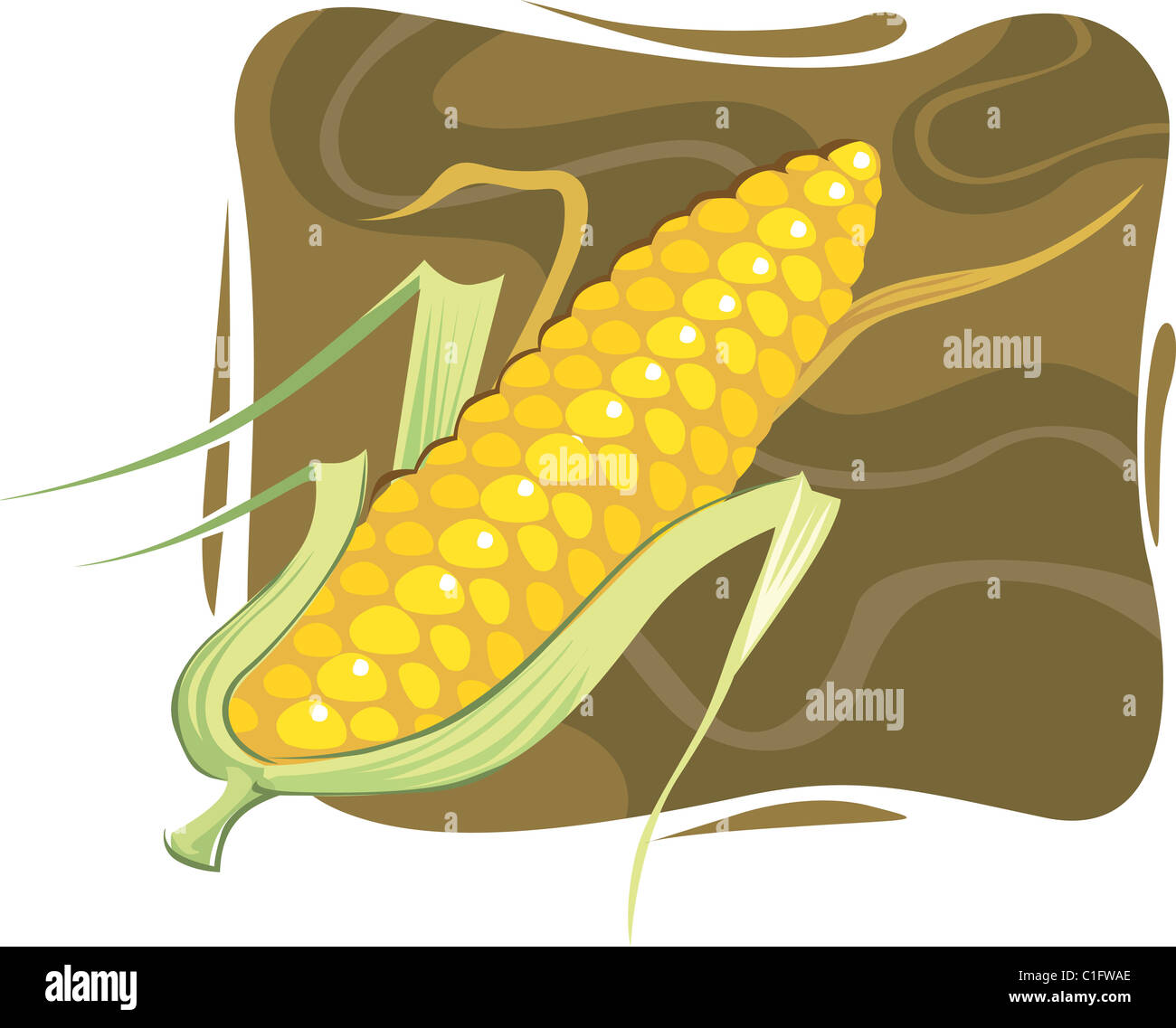Illustration of maize Stock Photo - Alamy