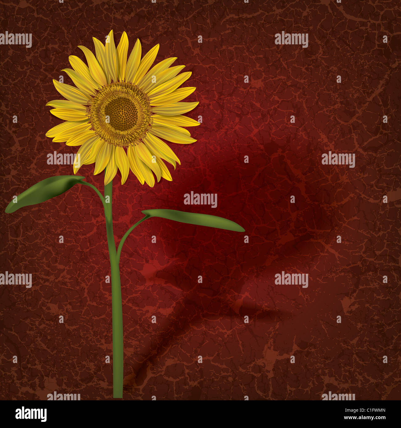 grunge floral illustration with sunflower on red Stock Photo - Alamy