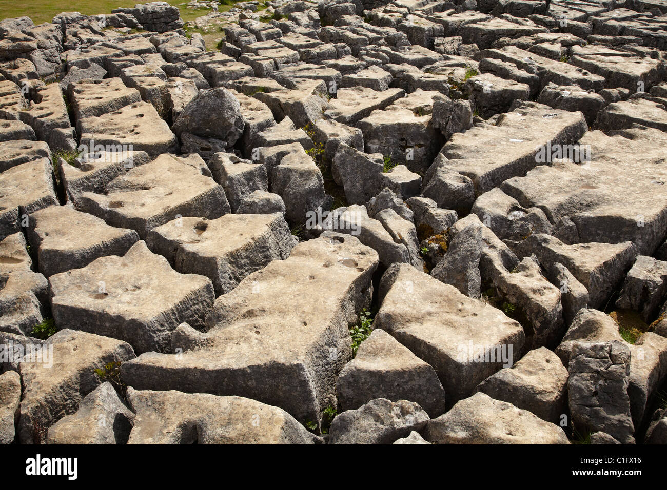 Limestone Pavement Features High Resolution Stock Photography and ...