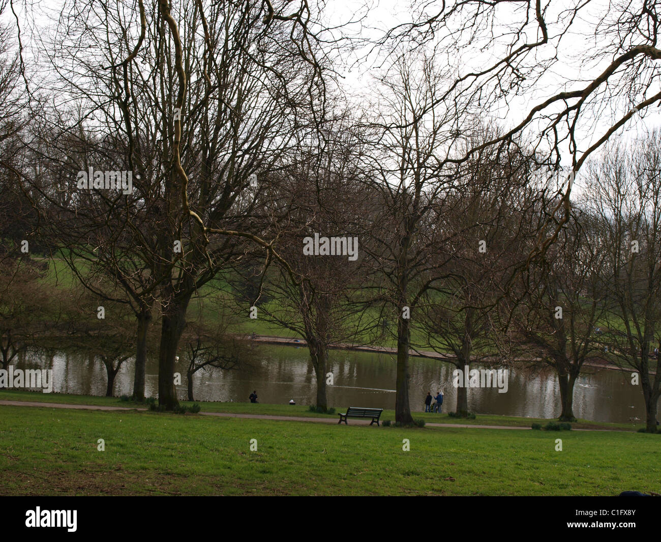 park in early spring Stock Photo - Alamy