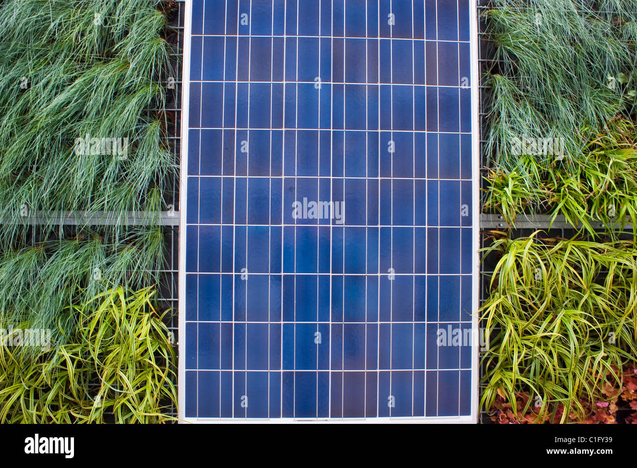 Exterior Renewable Energy Solar Cell Solar Power panels, Detail ...