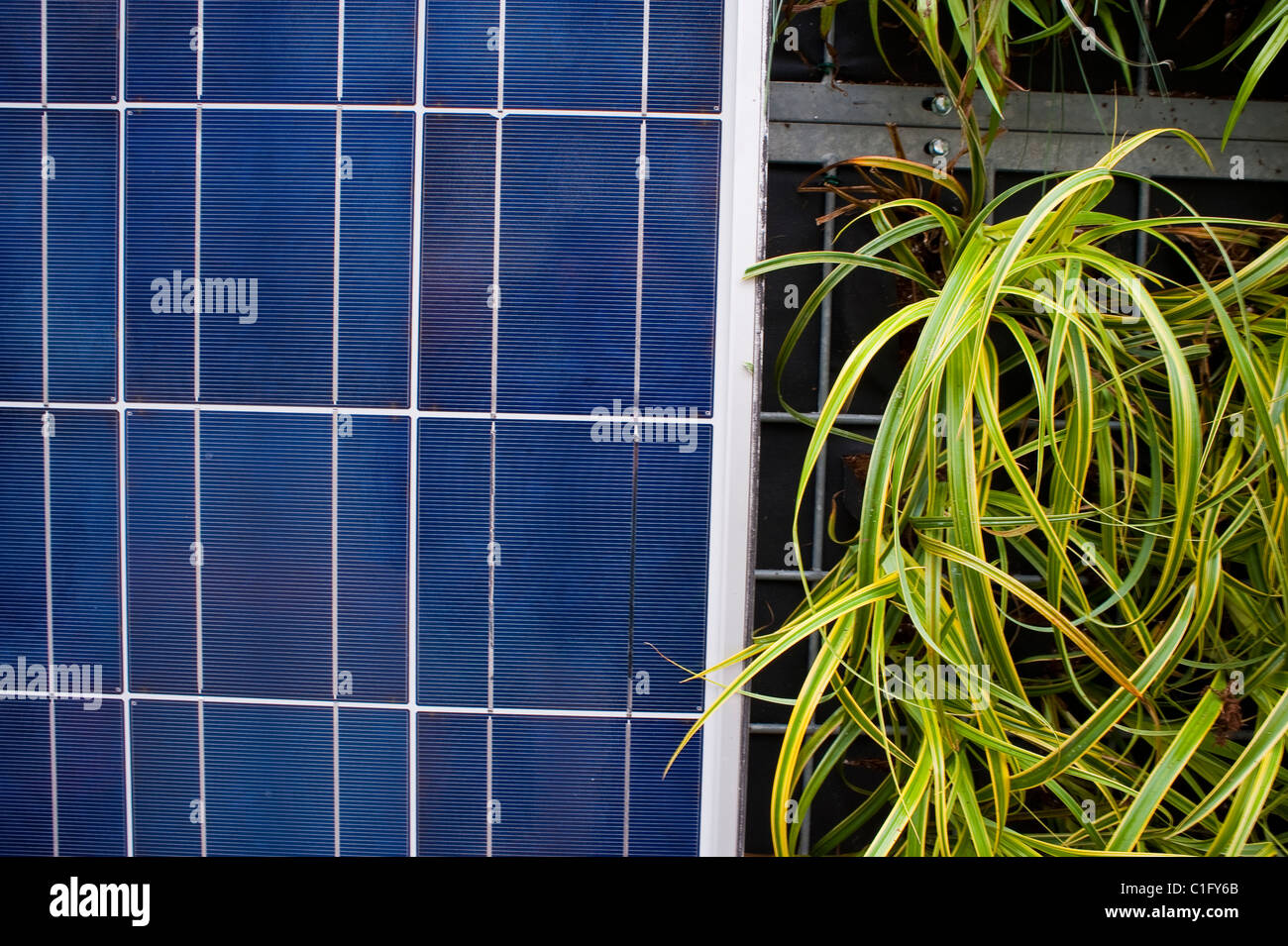 Exterior Renewable Energy Solar Cell Solar Power panels, Detail ...