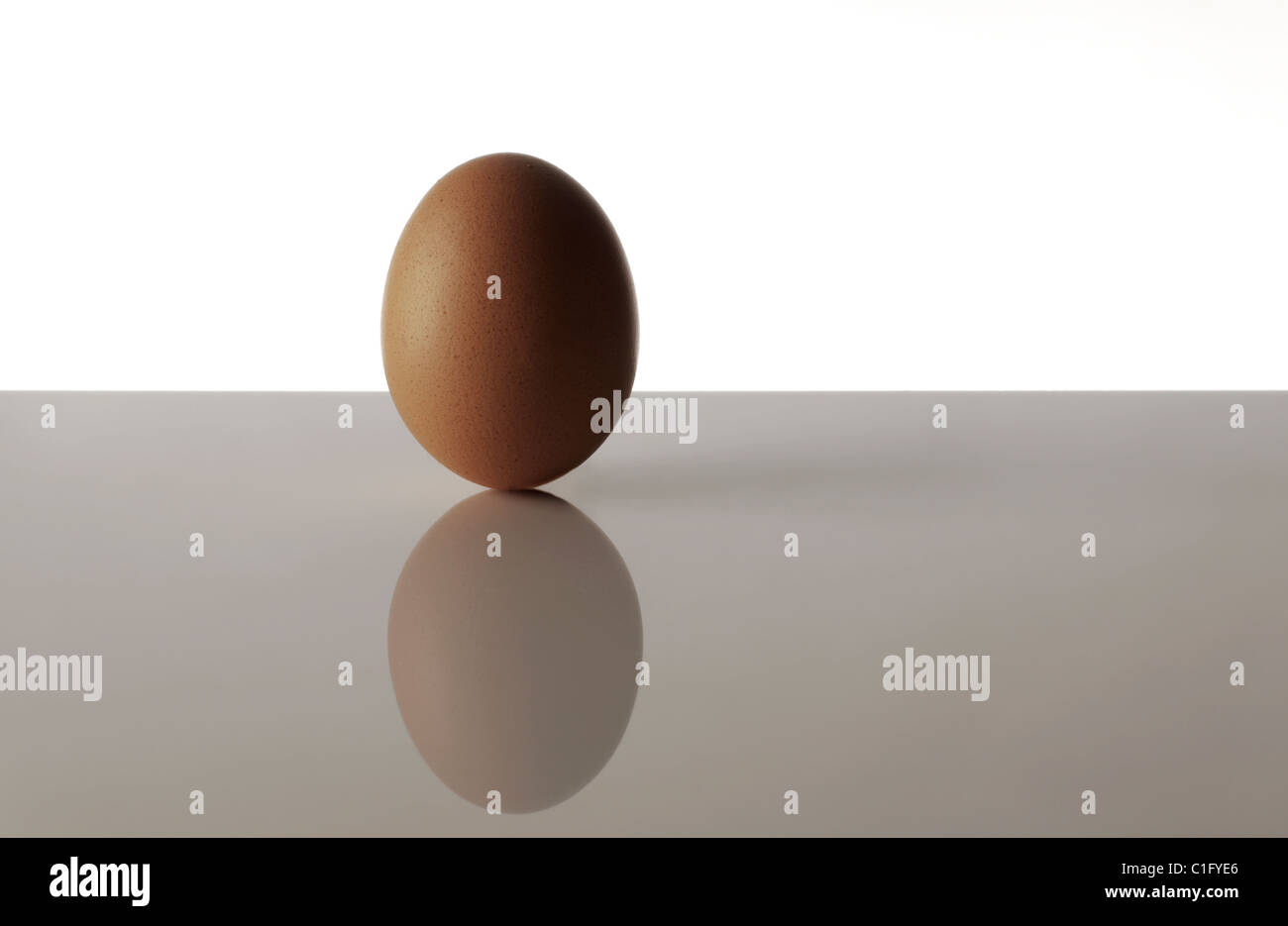 single egg standing up on white background with reflection Stock Photo ...