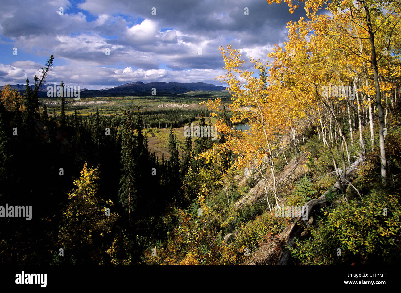 Canada, Yukon, autumn landscape near Whitehorse Stock Photo - Alamy