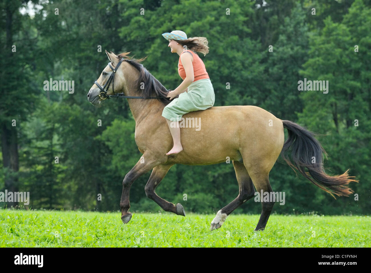 Riding A Horse Without A Saddle High Resolution Stock Photography and ...