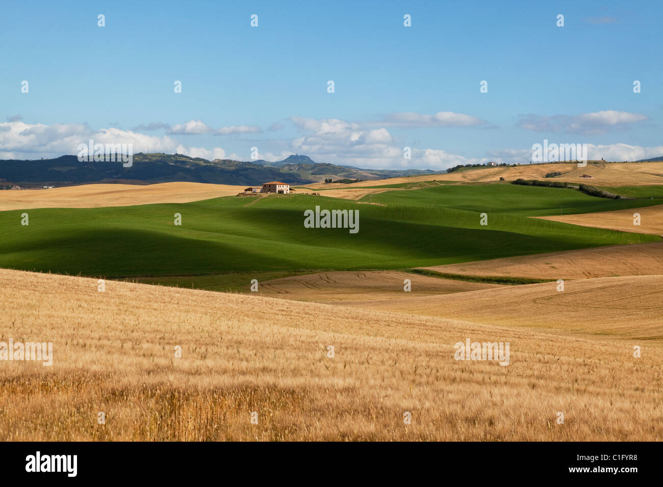 Rural landscape of a farm fields in Val d'Orcia, Tuscany, Italy Stock ...