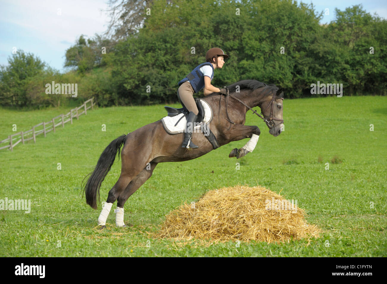 Young rider on back of her Connemara pony jumping Stock Photo - Alamy