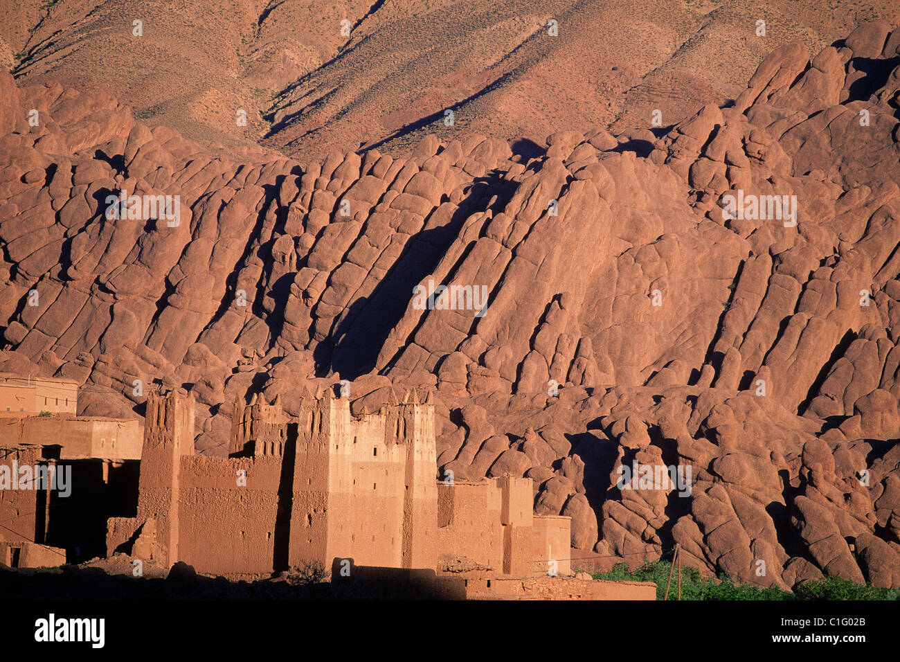 Dades valley rose hi-res stock photography and images - Alamy