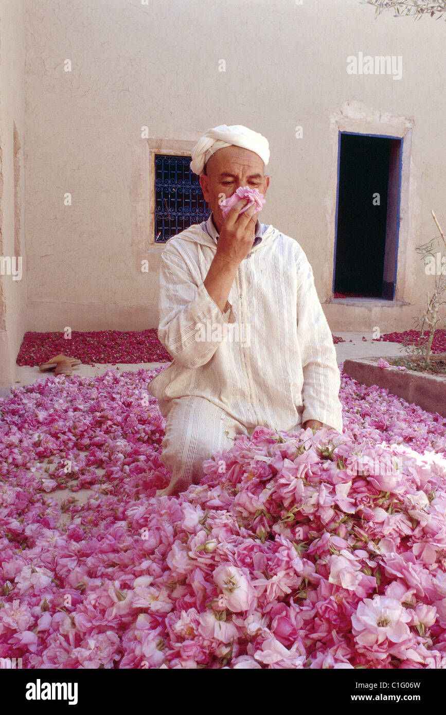 Hadida High Resolution Stock Photography and Images - Alamy