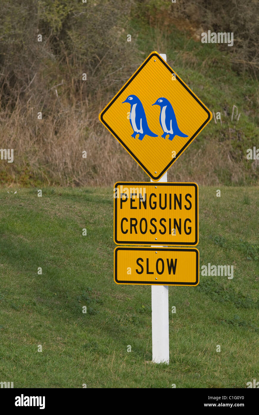 Little blue penguin or Korora (Eudyptula minor) warning sign, Oamaru ...