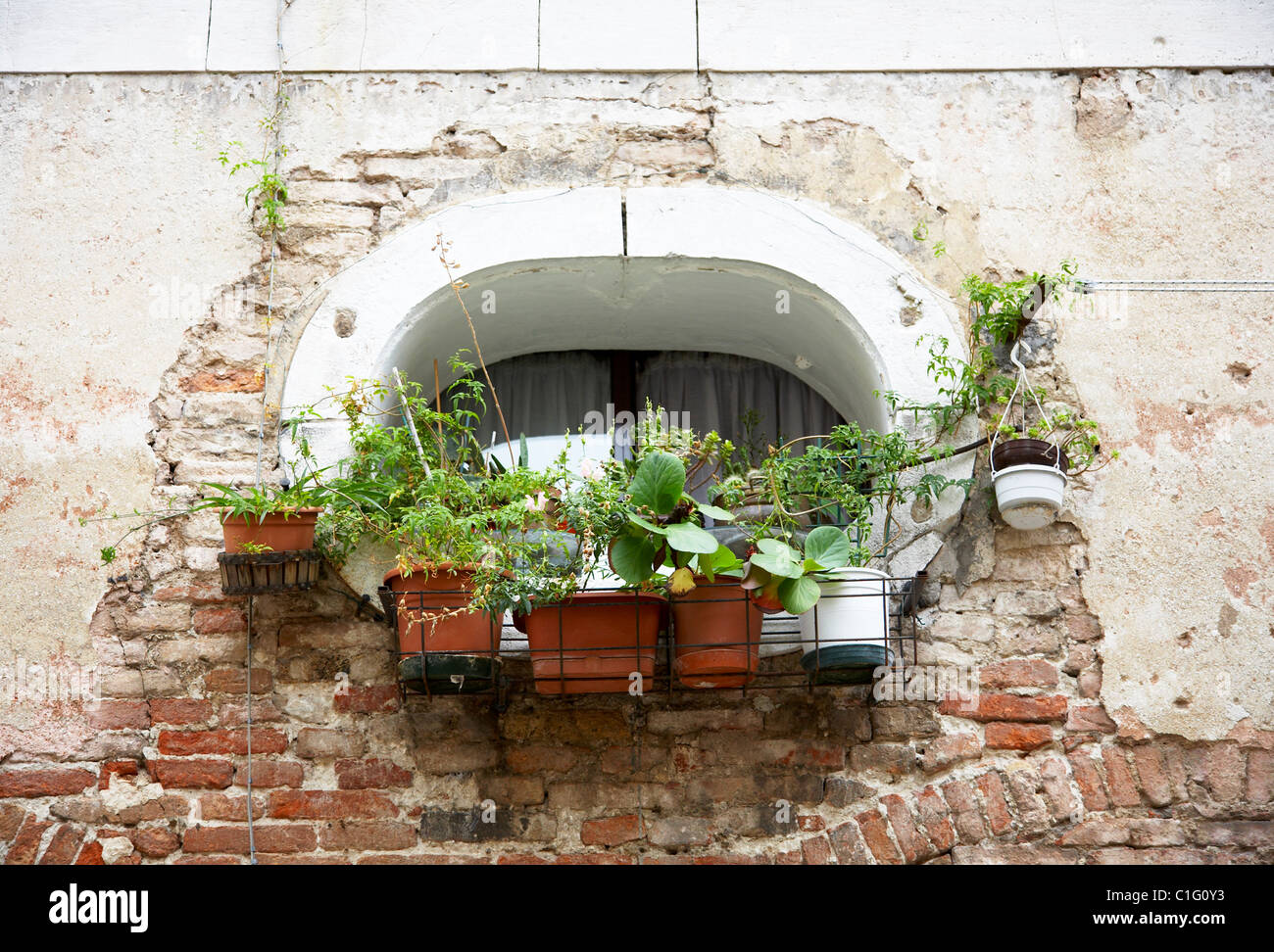 Exterior view of a charming old round window with planting in Venice ...
