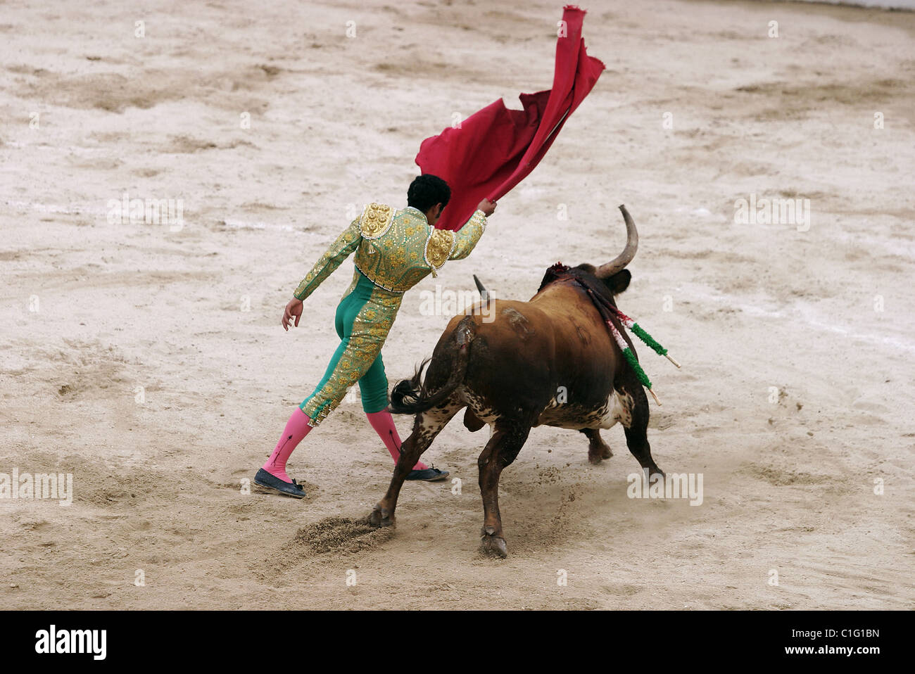 Bullfight Mexico High Resolution Stock Photography and Images - Alamy