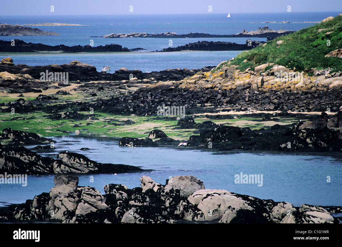 France, Manche, Iles Chausey Stock Photo - Alamy