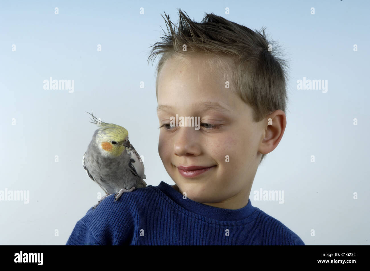 Boy with cockatiel Stock Photo - Alamy