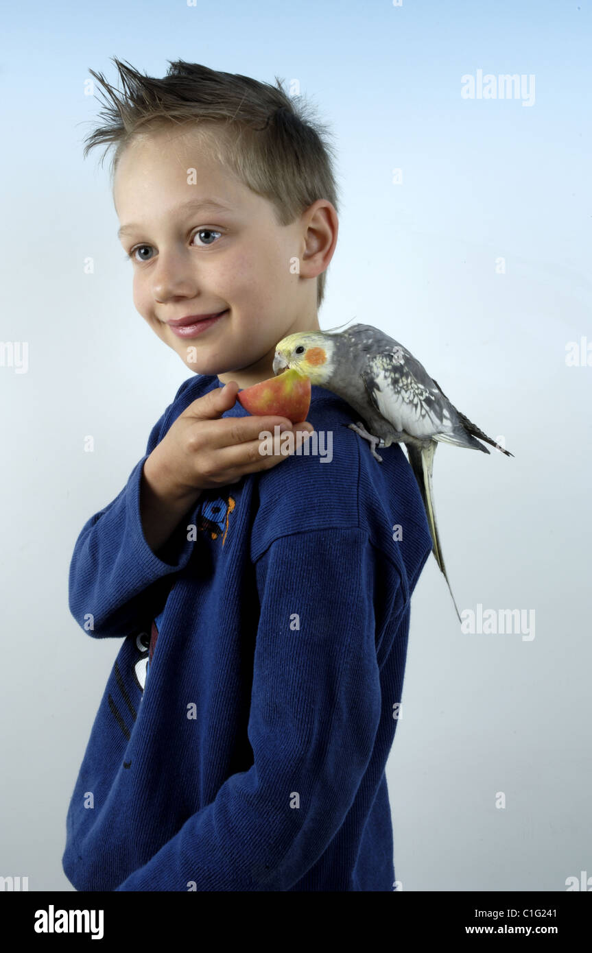 Boy with cockatiel hi-res stock photography and images - Alamy