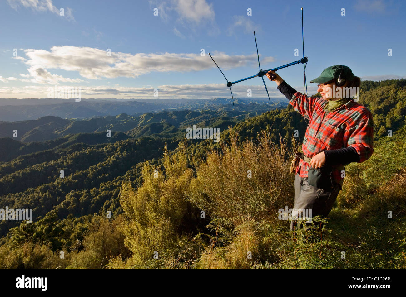Conservation and research of brown kiwi, Waimarino Forest, Raetihi ...