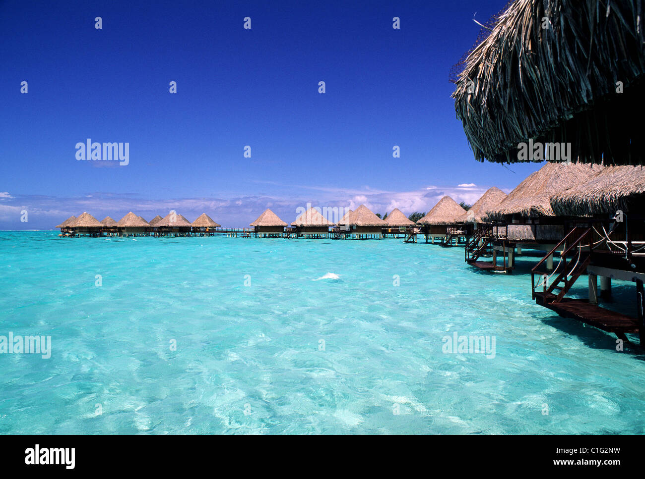 French polynesia society islands moana High Resolution Stock ...