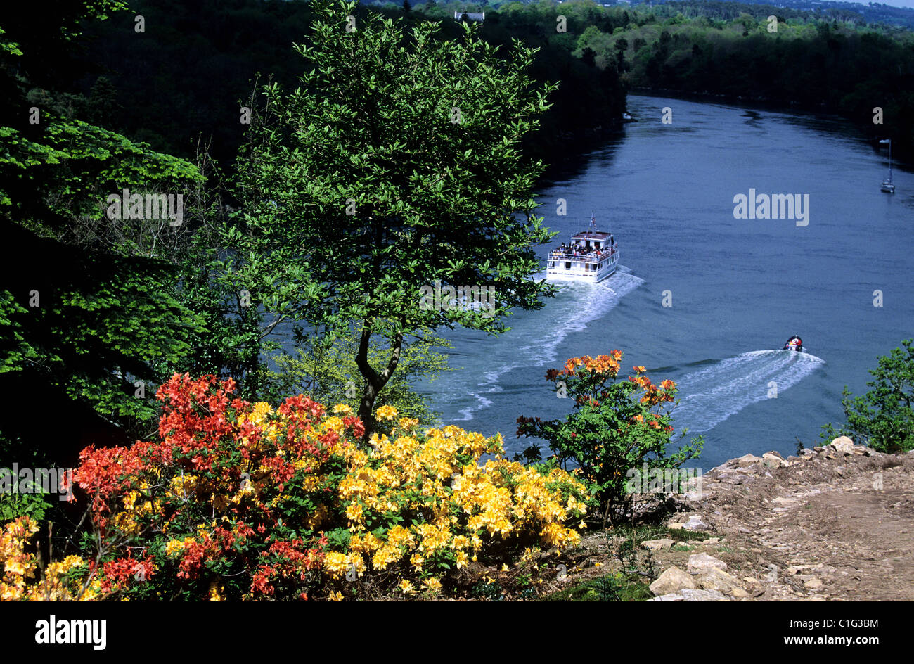 France, Finistere, Odet river, the Boutiguery's garden Stock Photo - Alamy