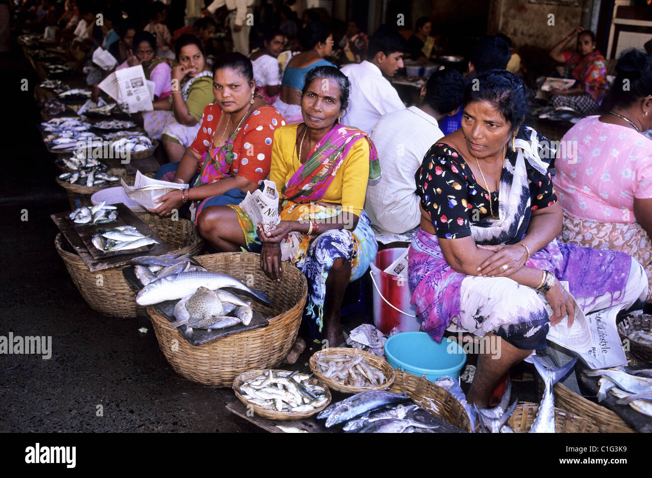India, Goa state, Panaji, the fish market Stock Photo - Alamy