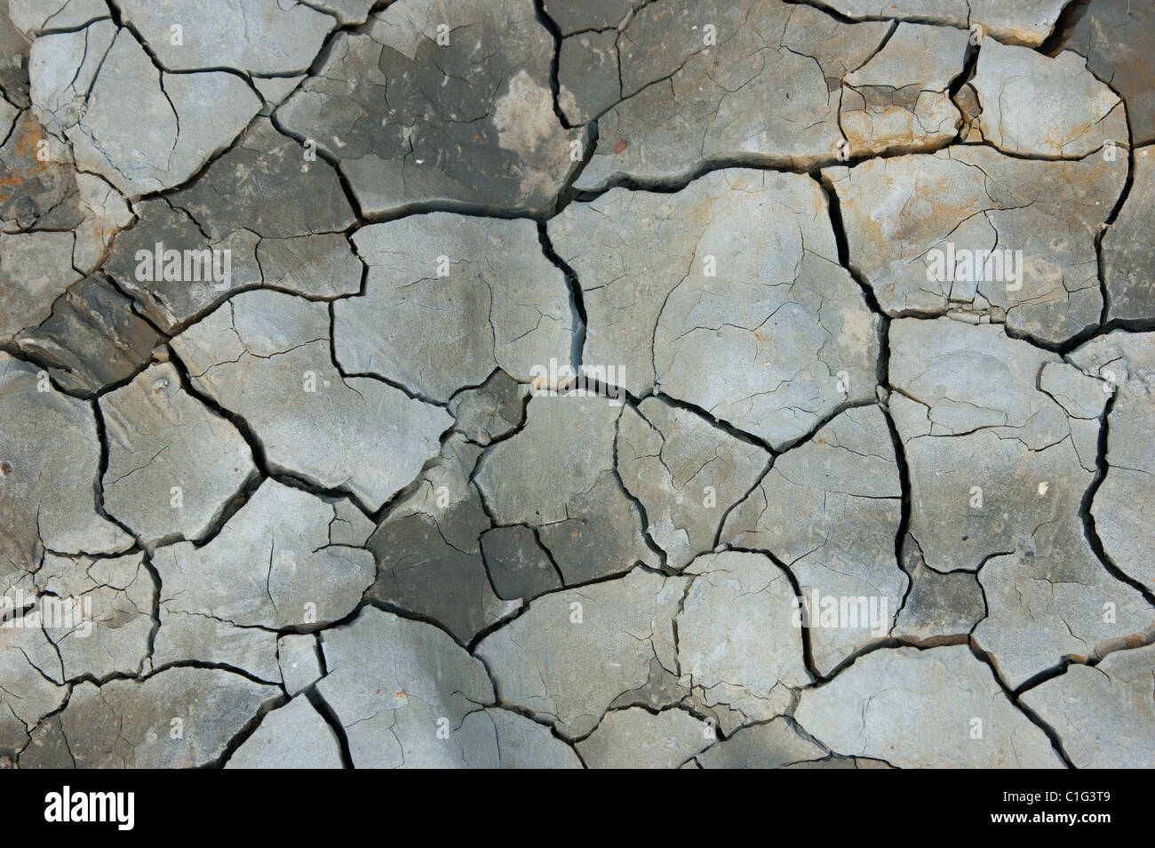 Cracked clay on a beach in Ringstead Bay, Dorset, UK. The clay is rich ...