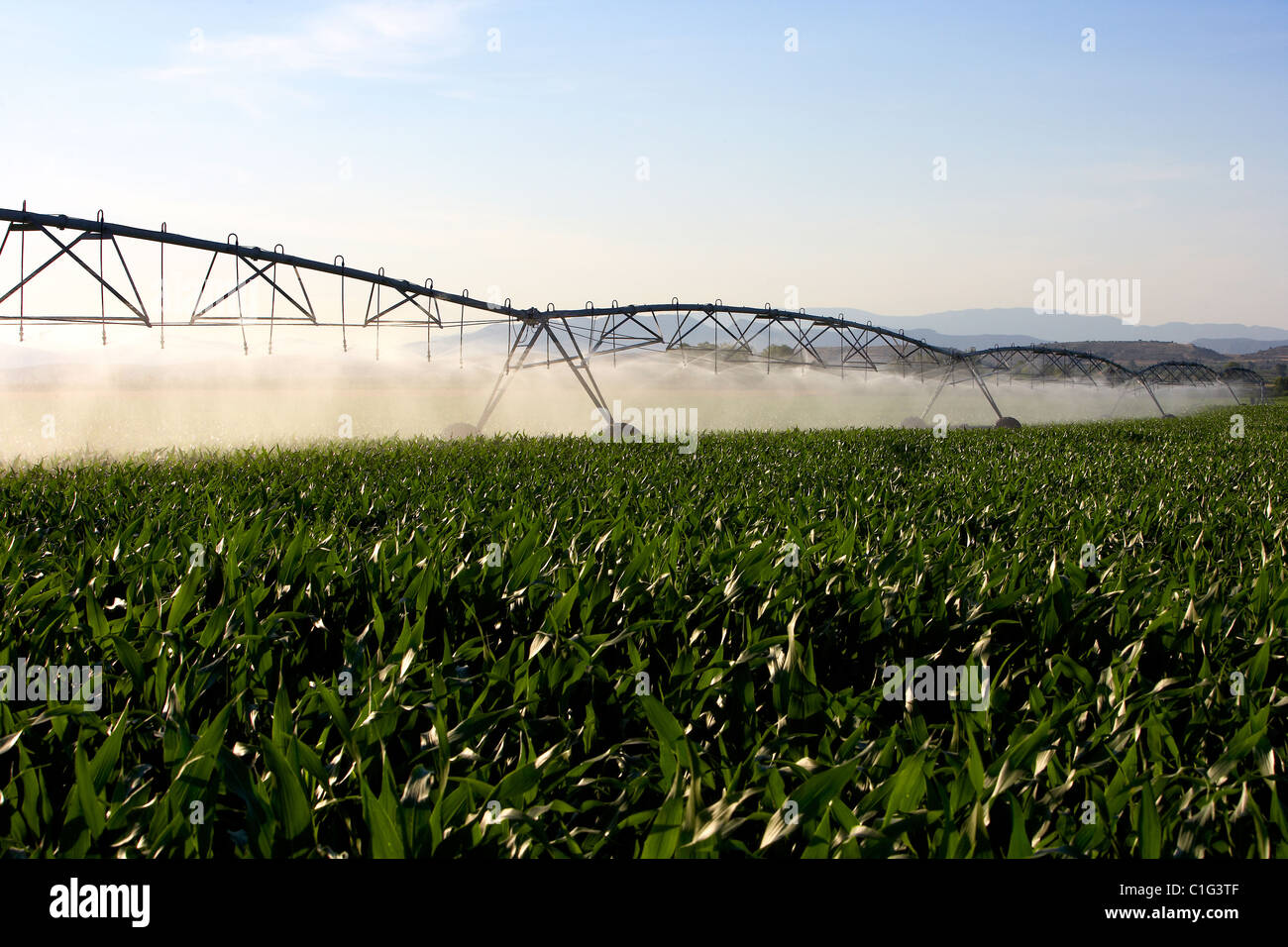 On a corn field hi-res stock photography and images - Alamy