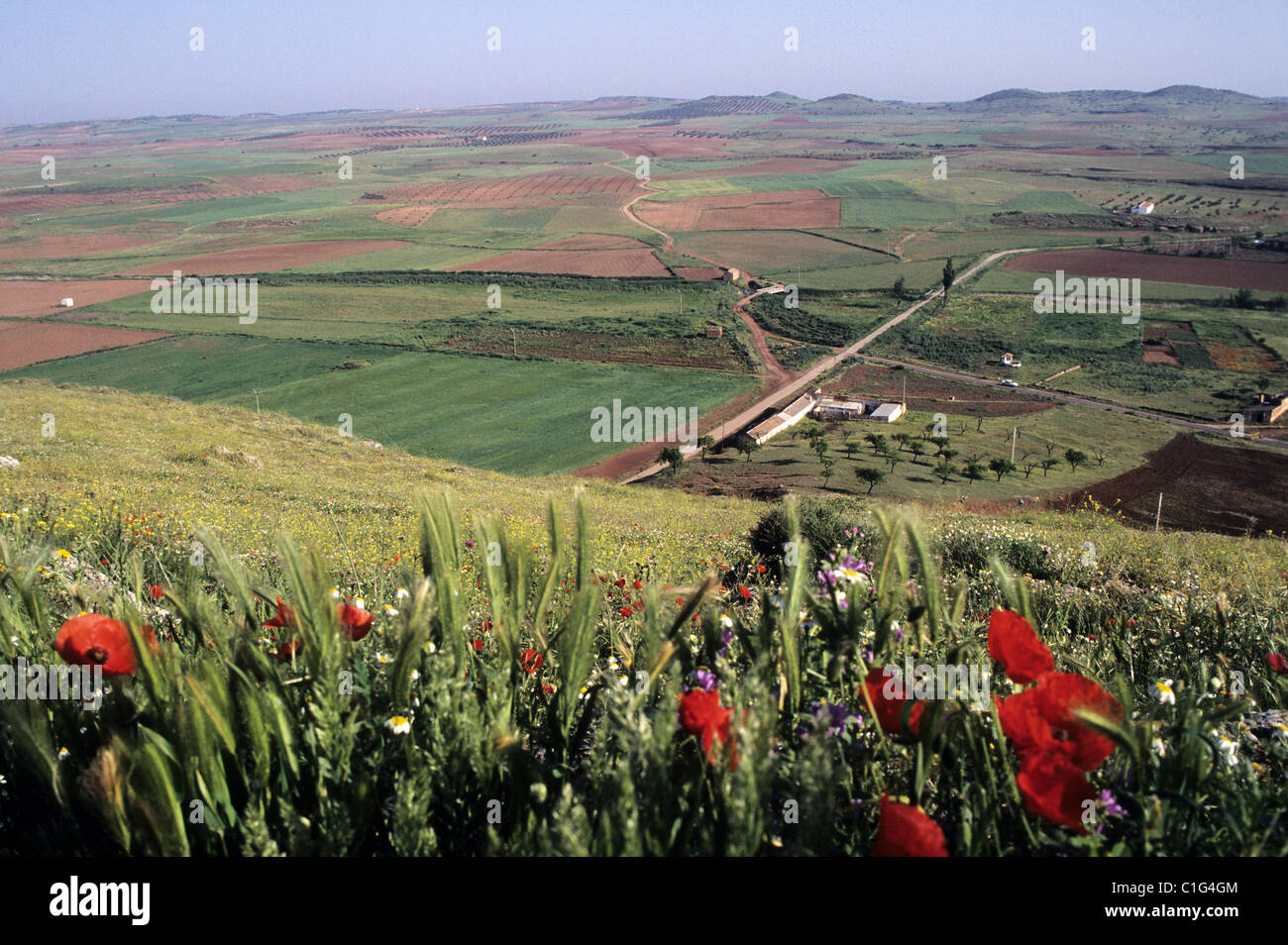 La mancha landscape hi-res stock photography and images - Alamy