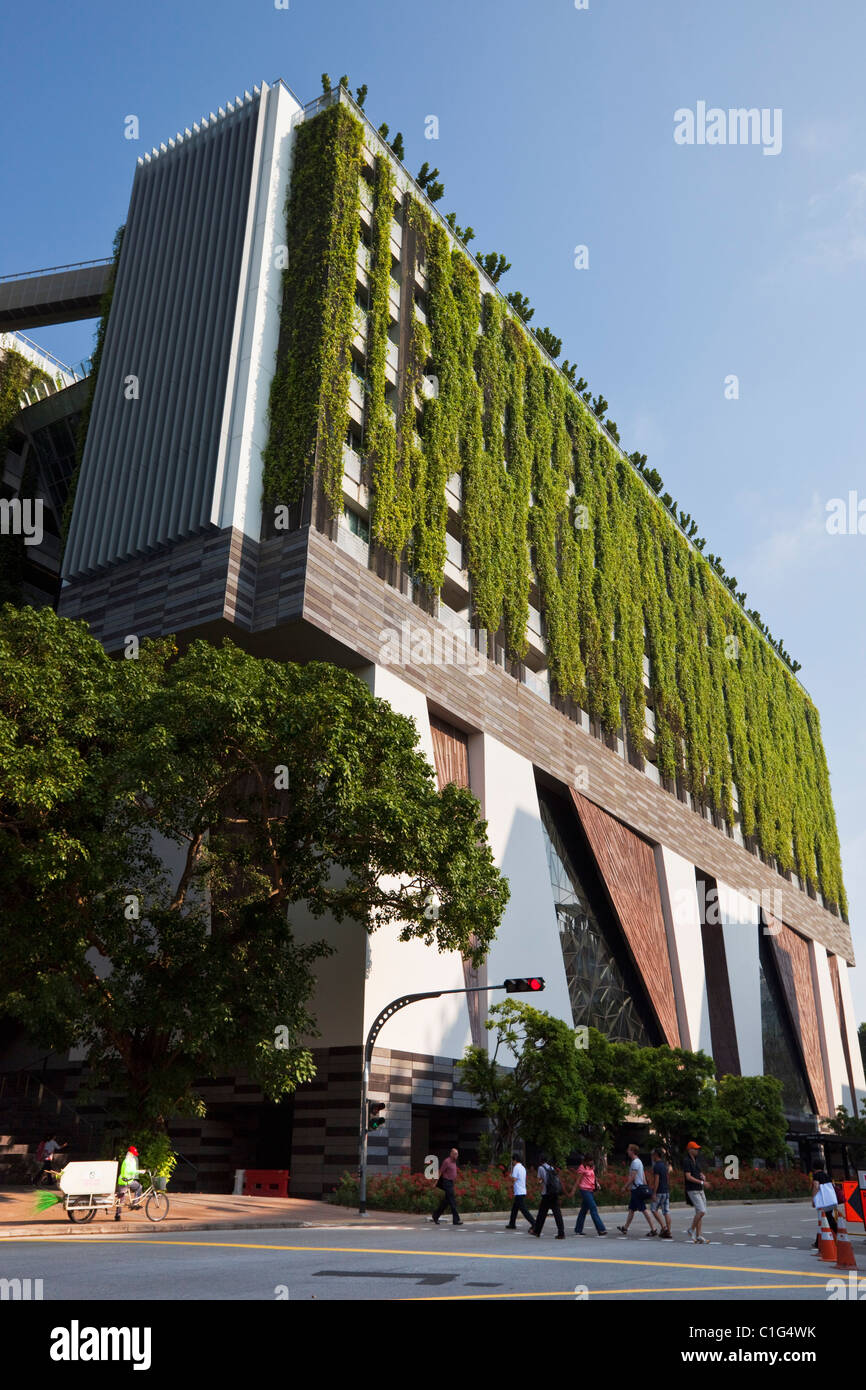 Singapore school hi-res stock photography and images - Alamy