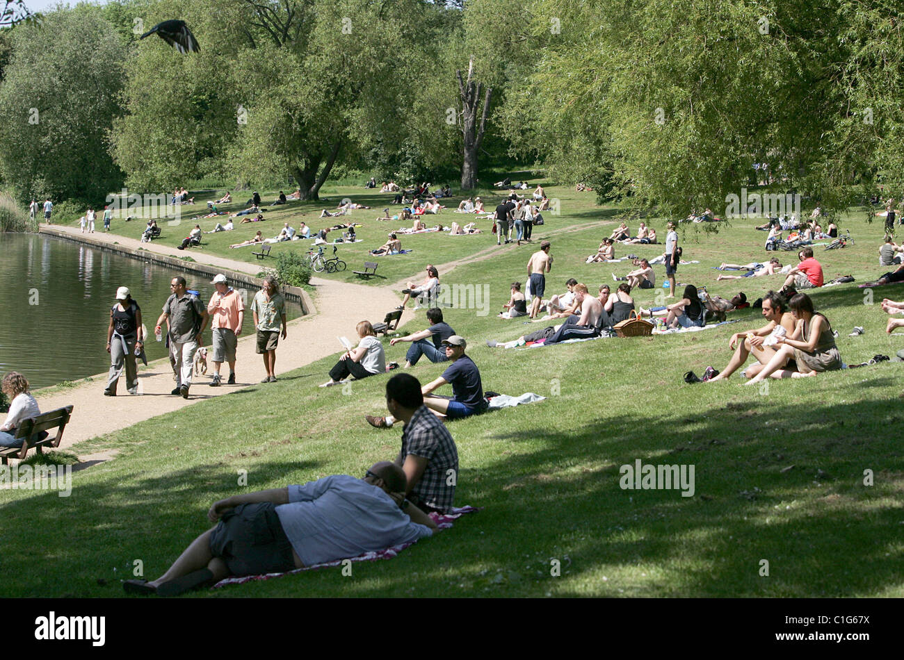 Members of the public enjoy the Bank holiday heat wave by relaxing on ...