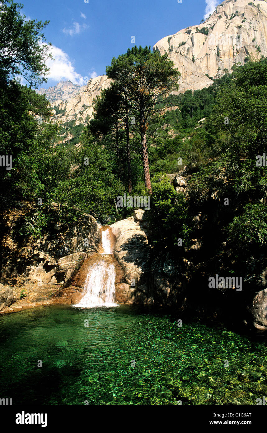 France, Corse du Sud, forest of Bavella, Polischellu waterfalls Stock ...