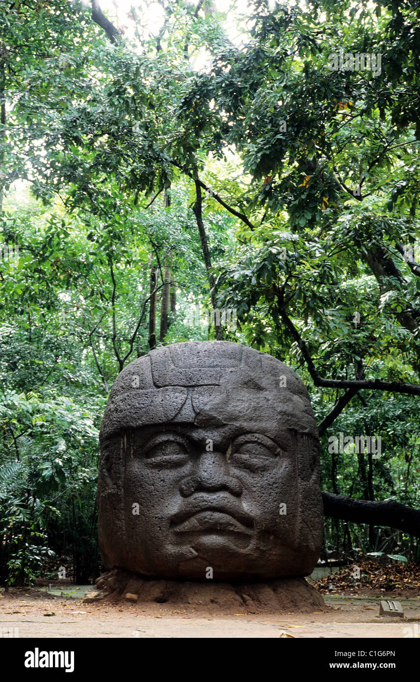Mexico, Tabasco state, Villahermosa, La venta park, Olmec head Stock ...