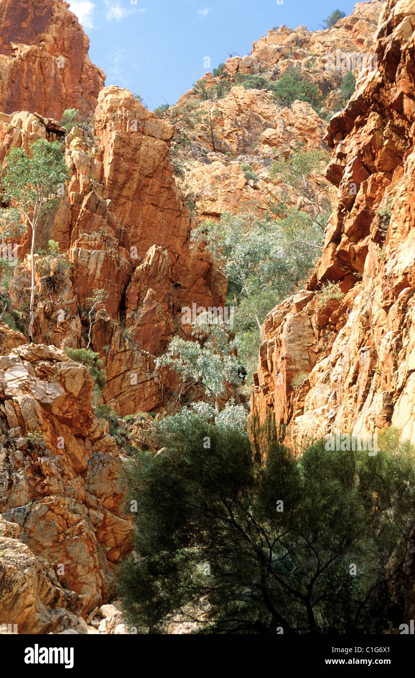 Australia, Northern Territory, Western MacDonell Range National Park ...
