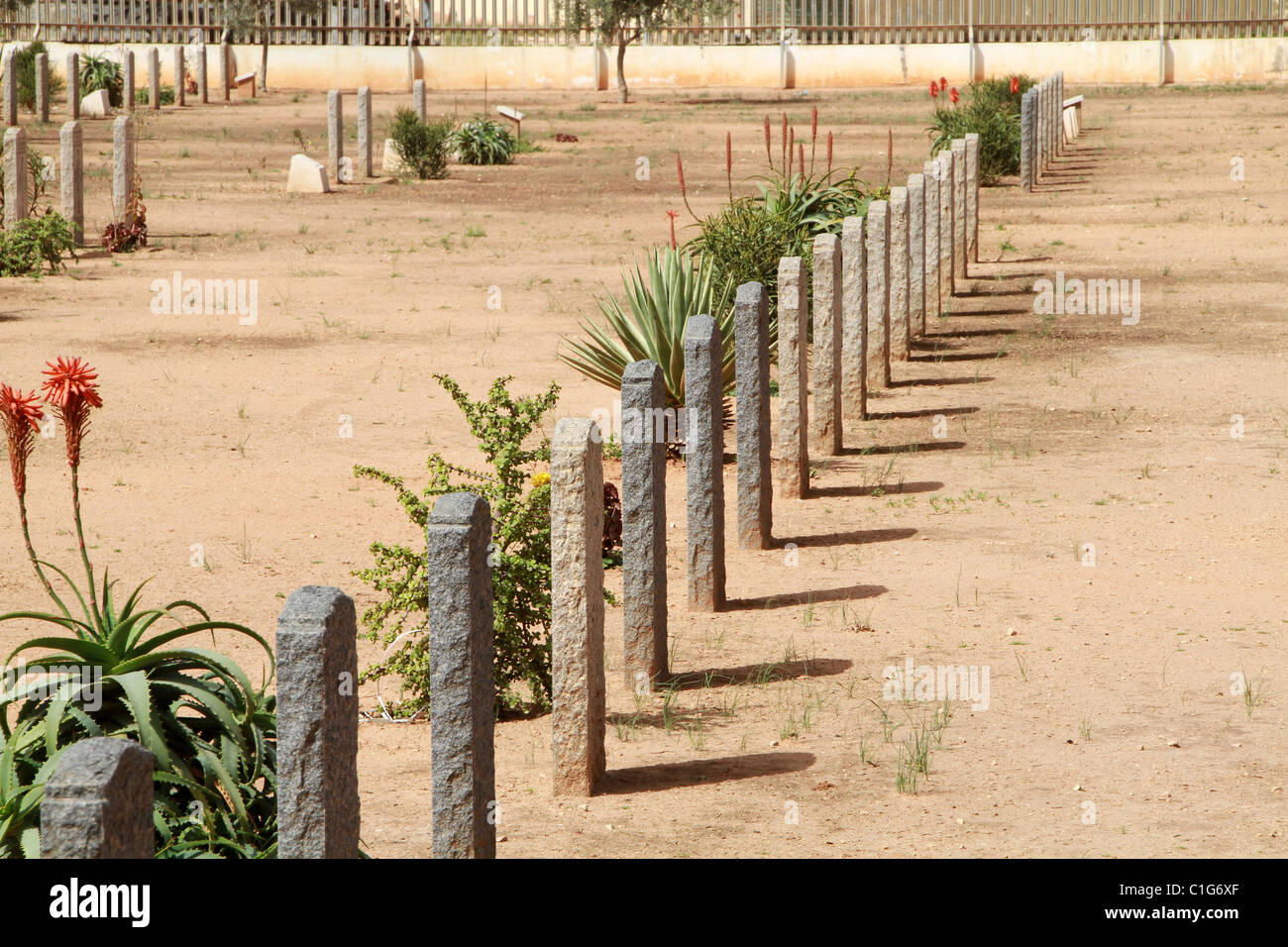 Benghazi war cemetery hi-res stock photography and images - Alamy