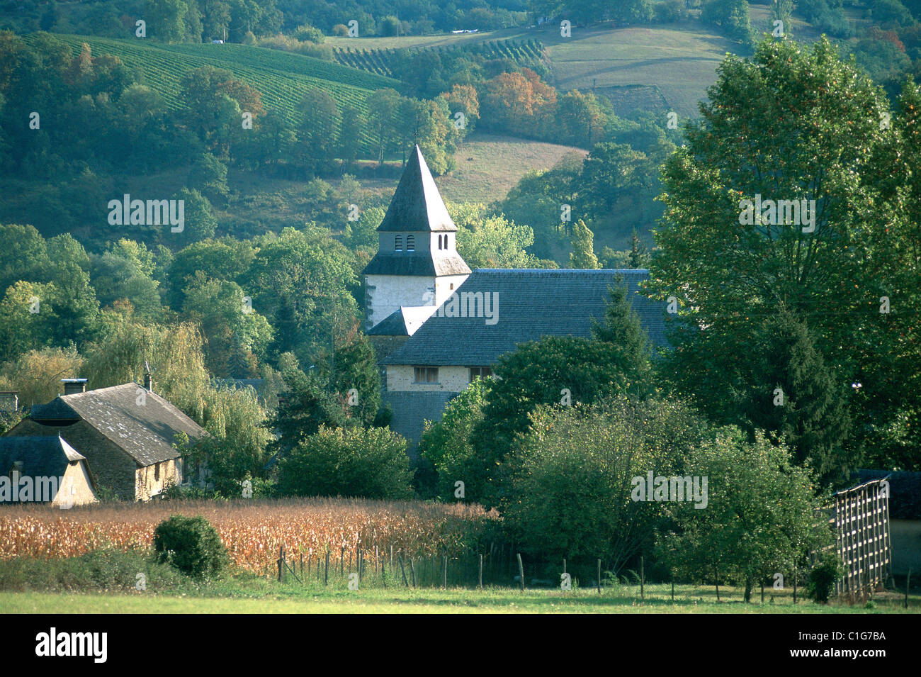 Jurancon wine region hi-res stock photography and images - Alamy