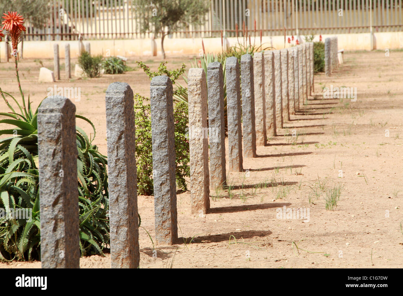 Benghazi hi-res stock photography and images - Alamy