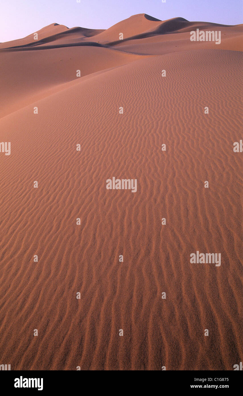 Mongolia, Omnogobi province, Gobi desert, the sand dunes of Khongoryn ...
