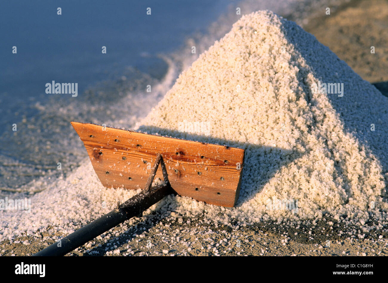 France, Charente Maritime, the Re Island, collecting salt according to ...
